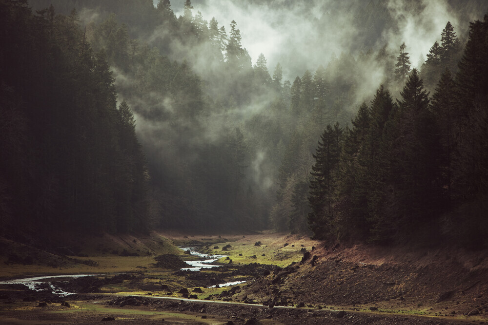 Kevin Russ - 'Foggy Forest Creek' | Photocircle.net