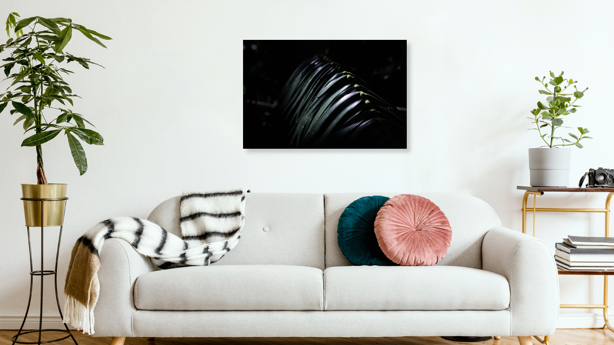 Friederike Lenz - 'palmtree' | Photocircle.net