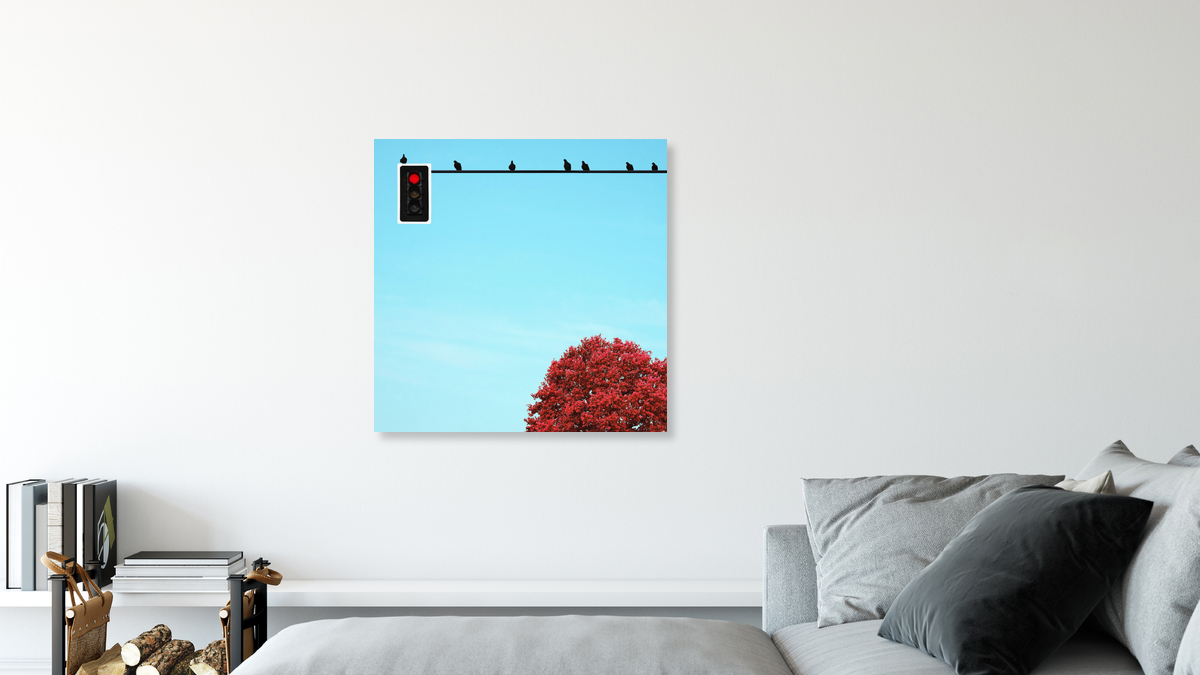 Pascal Krumm - 'Pare' | Photocircle.net