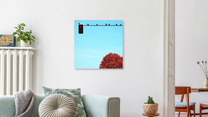 Pascal Krumm - 'Pare' | Photocircle.net