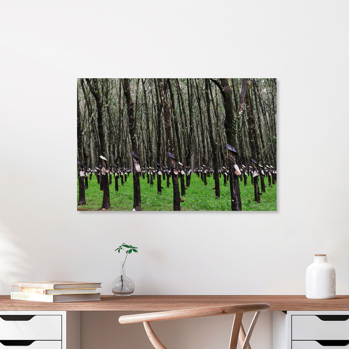 Haifeng Ni - 'Rubber Trees' | Photocircle.net