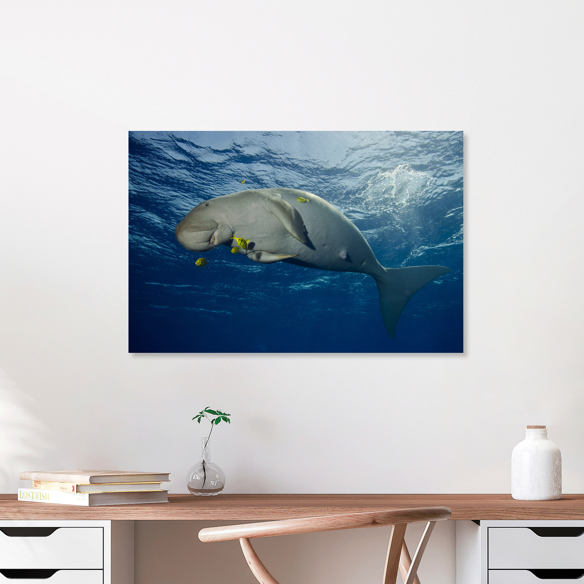 Christian Schlamann - 'Happy Dugong' | Photocircle.net