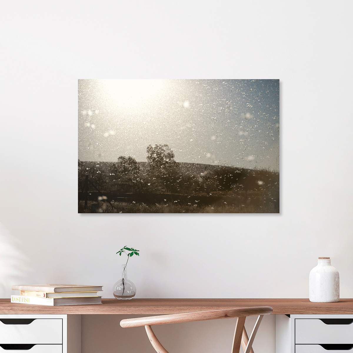 Jac Kritzinger - 'Locust storm' | Photocircle.net