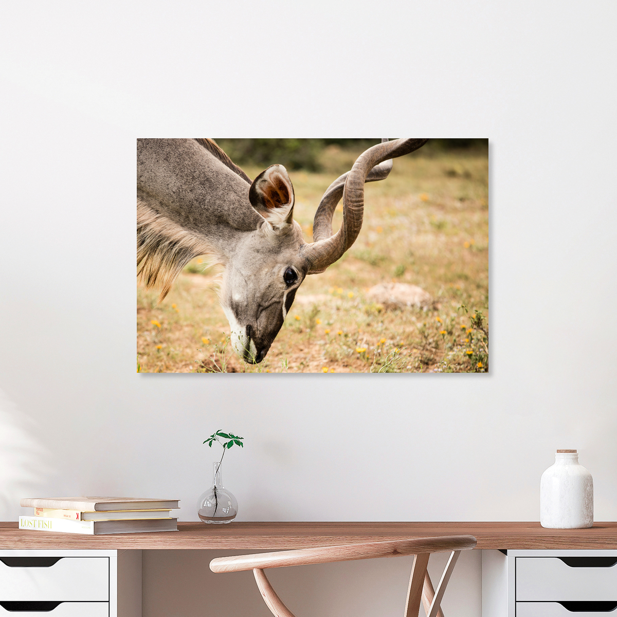 Steffen Rothammel - 'Antilope' | Photocircle.net