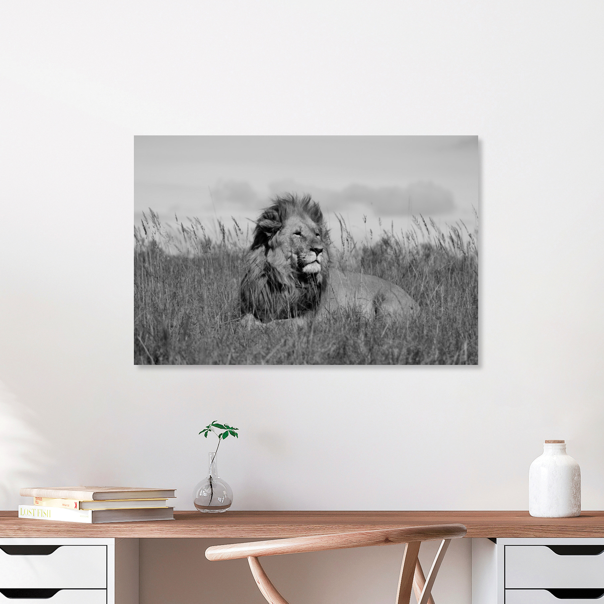 Martin Rau - 'Lion King' | Photocircle.net