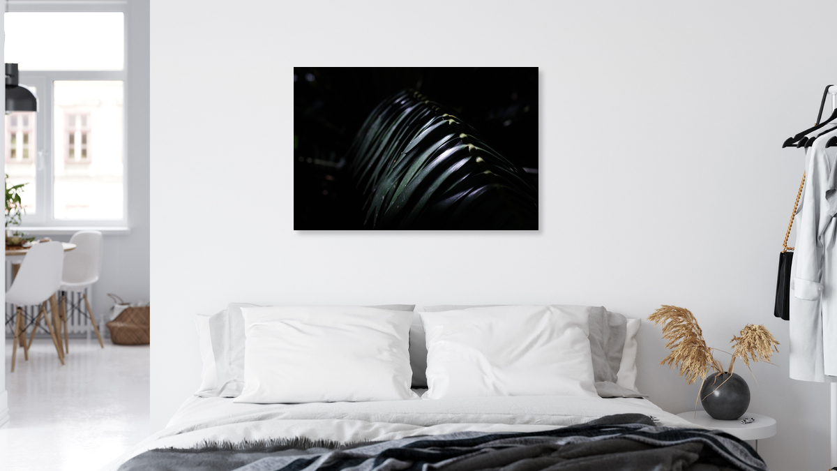 Friederike Lenz - 'palmtree' | Photocircle.net