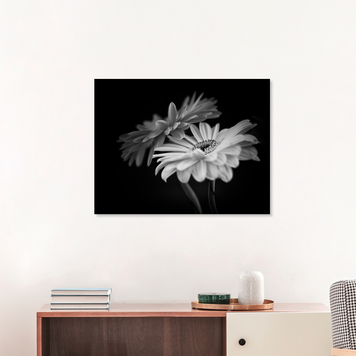 Thomas Wegner - 'Gerbera in black and white' | Photocircle.net