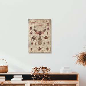 Mike Koubou - 'Insects' | Photocircle.net