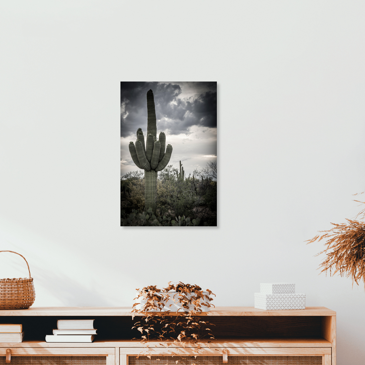 Marc Rasmus - 'Giant Cactus' | Photocircle.net