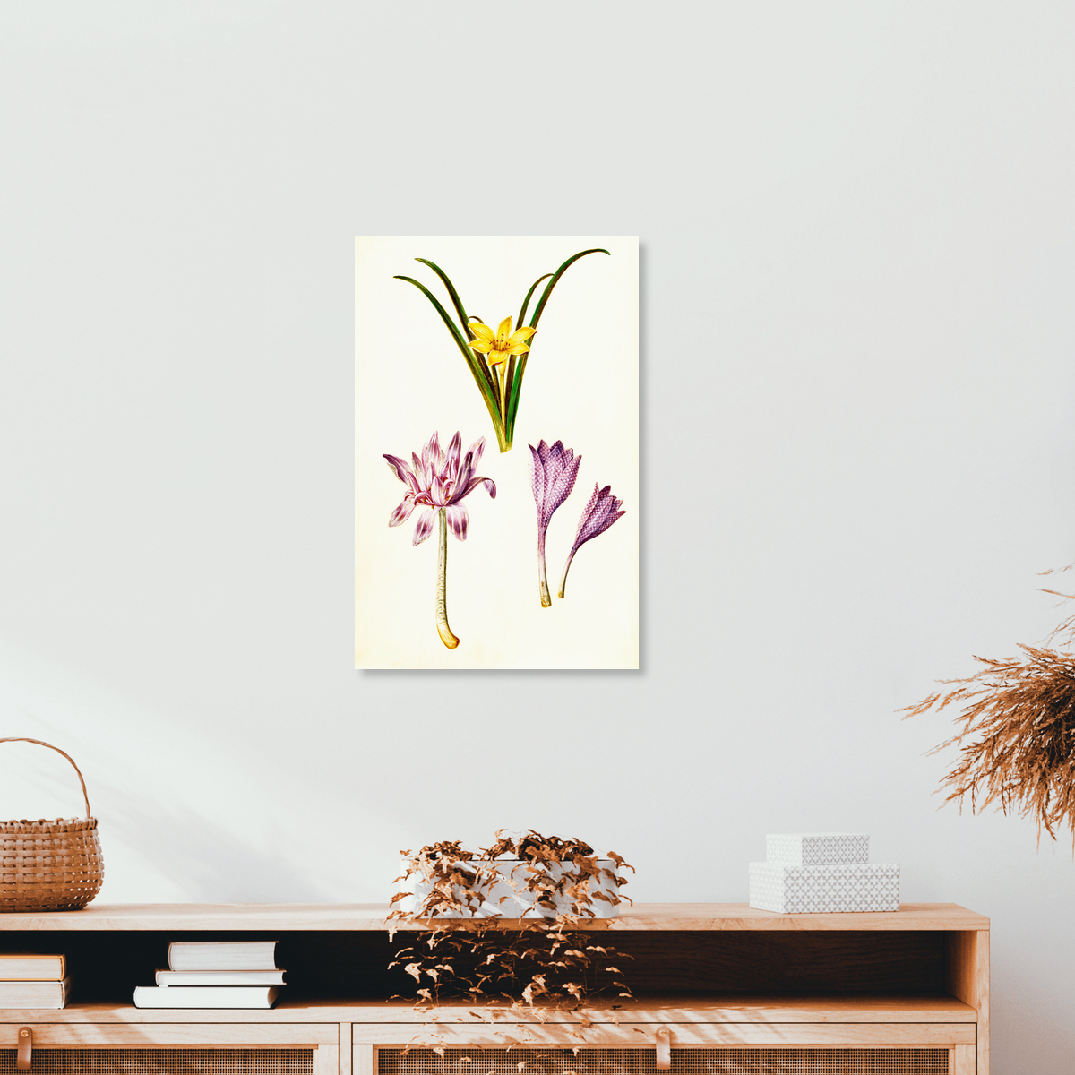 Vintage Nature Graphics wall art - 'Vintage illustration of spring ...