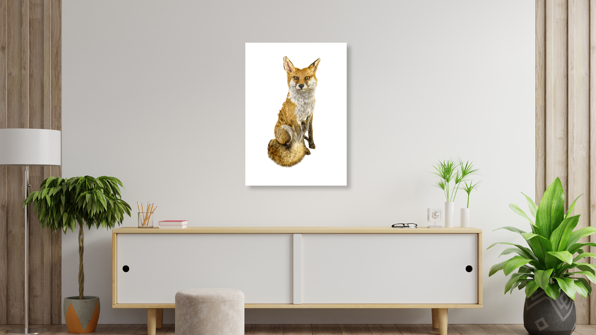 Marielle Leenders - 'Rarity Cabinet Animal Fox' | Photocircle.net