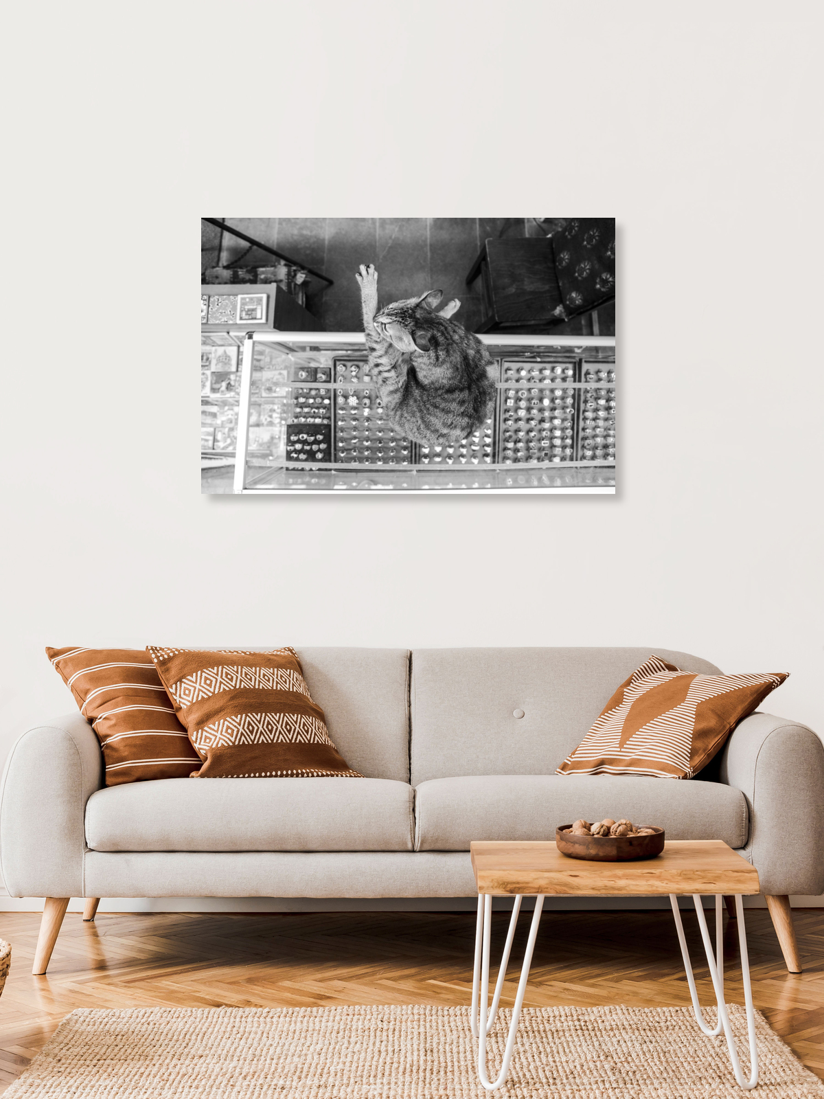 Thomas Neukum - 'The cat' | Photocircle.net