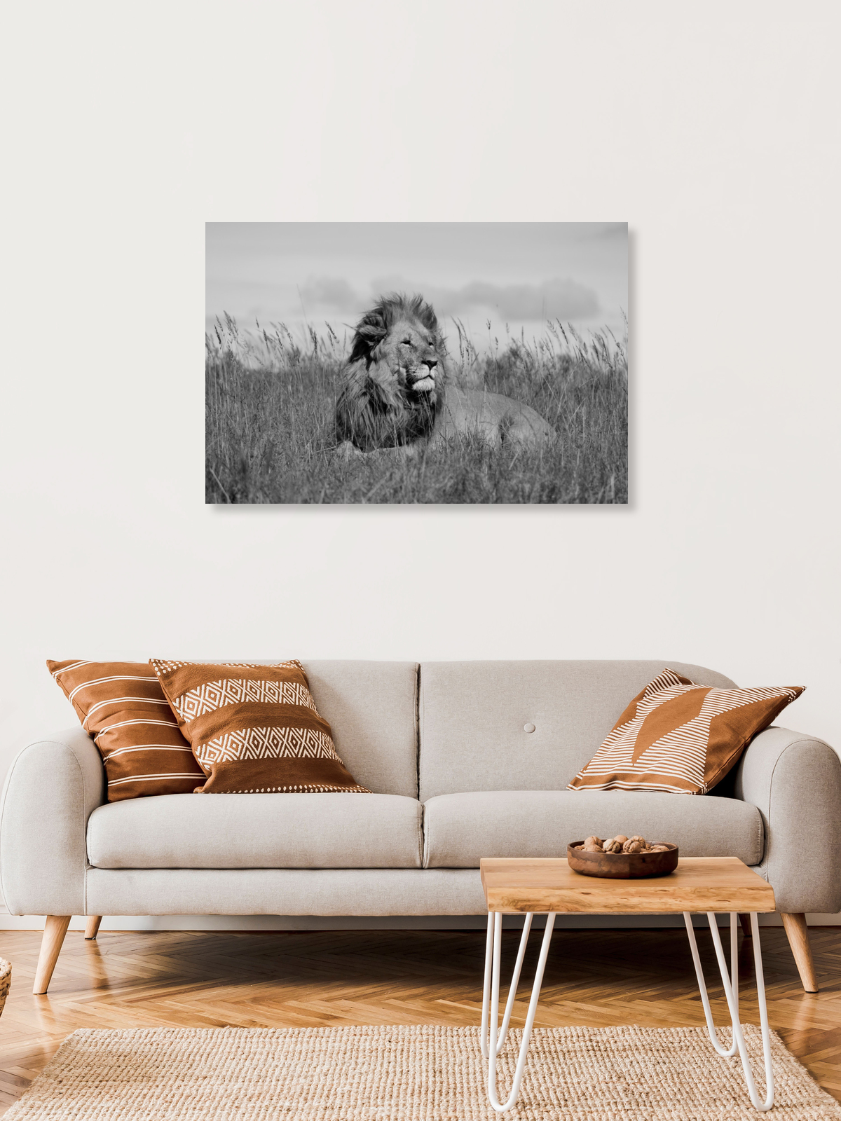 Martin Rau - 'Lion King' | Photocircle.net