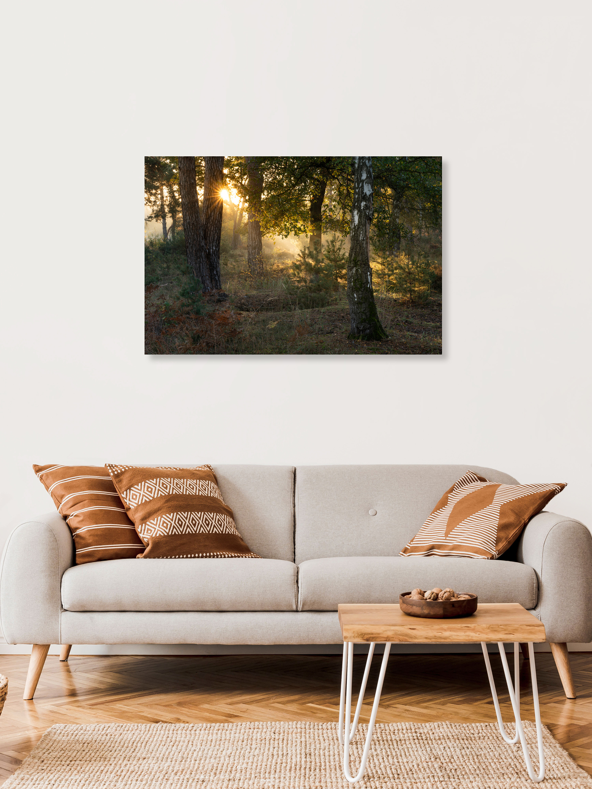 Felix Wesch - 'Pine forest with birch' | Photocircle.net