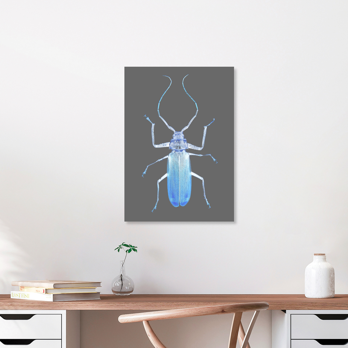 Shot By Clint - 'Insect Evolution' | Photocircle.net