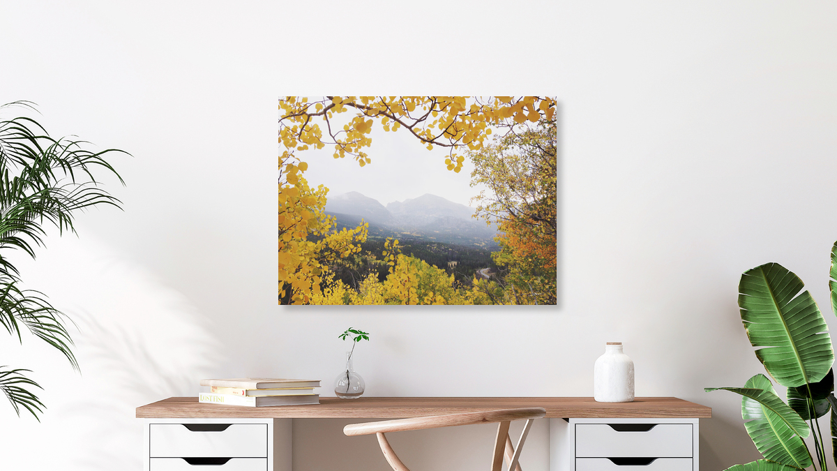 Kevin Russ - 'Fall Frame' | Photocircle.net