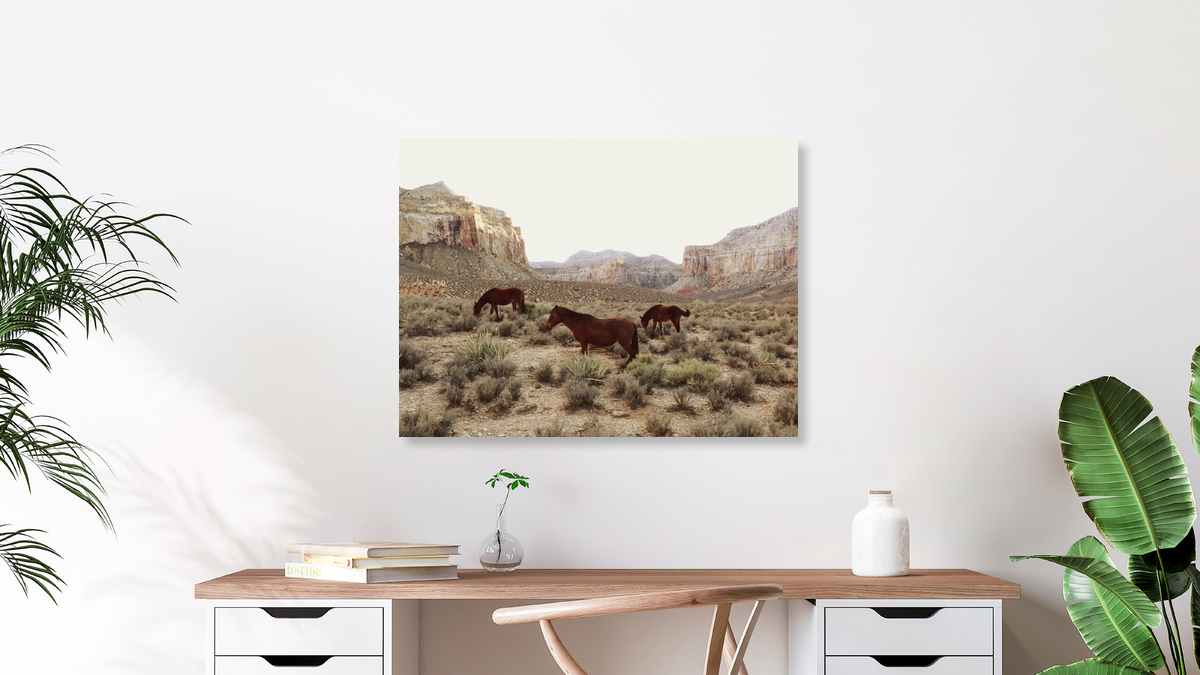 Kevin Russ - 'Southwest Wild Horses' | Photocircle.net