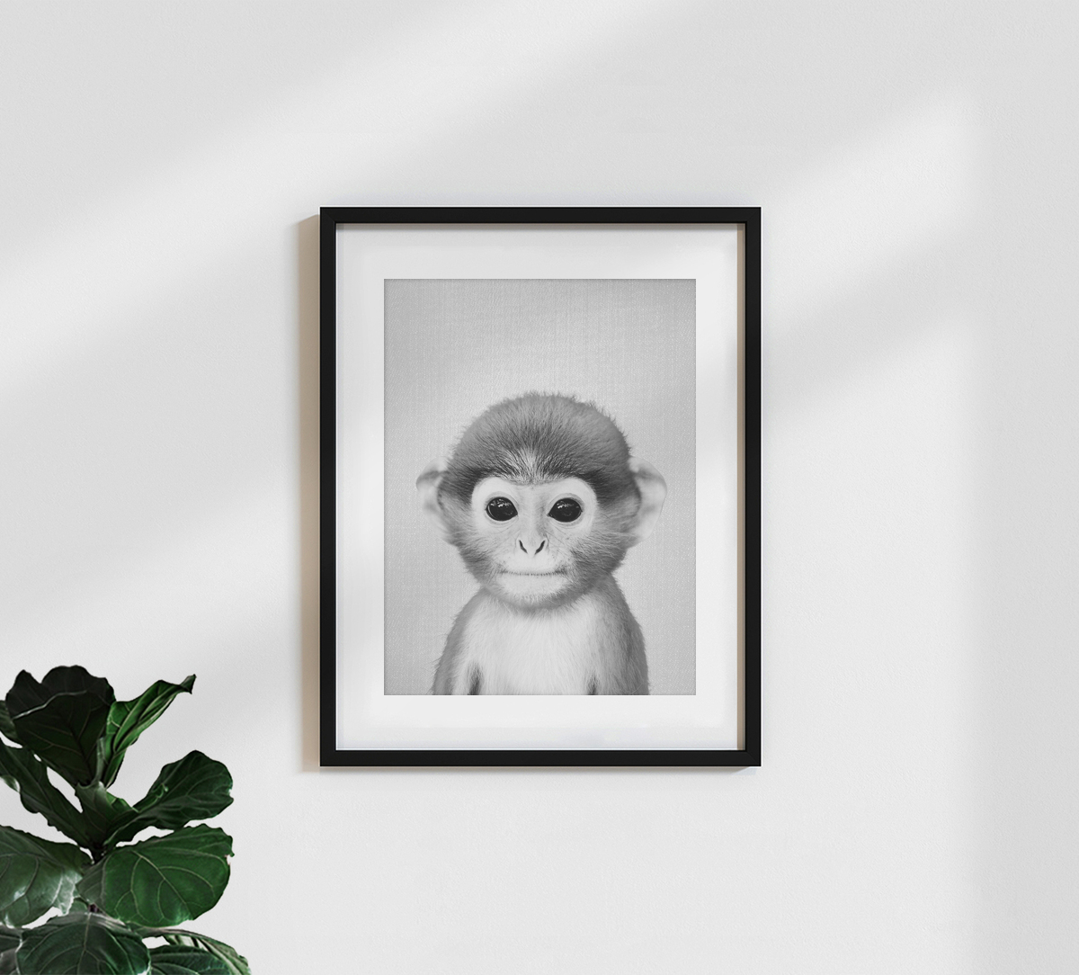 'Baby Monkey - Black & White' – Discover the wall art by Gal Pittel now!
