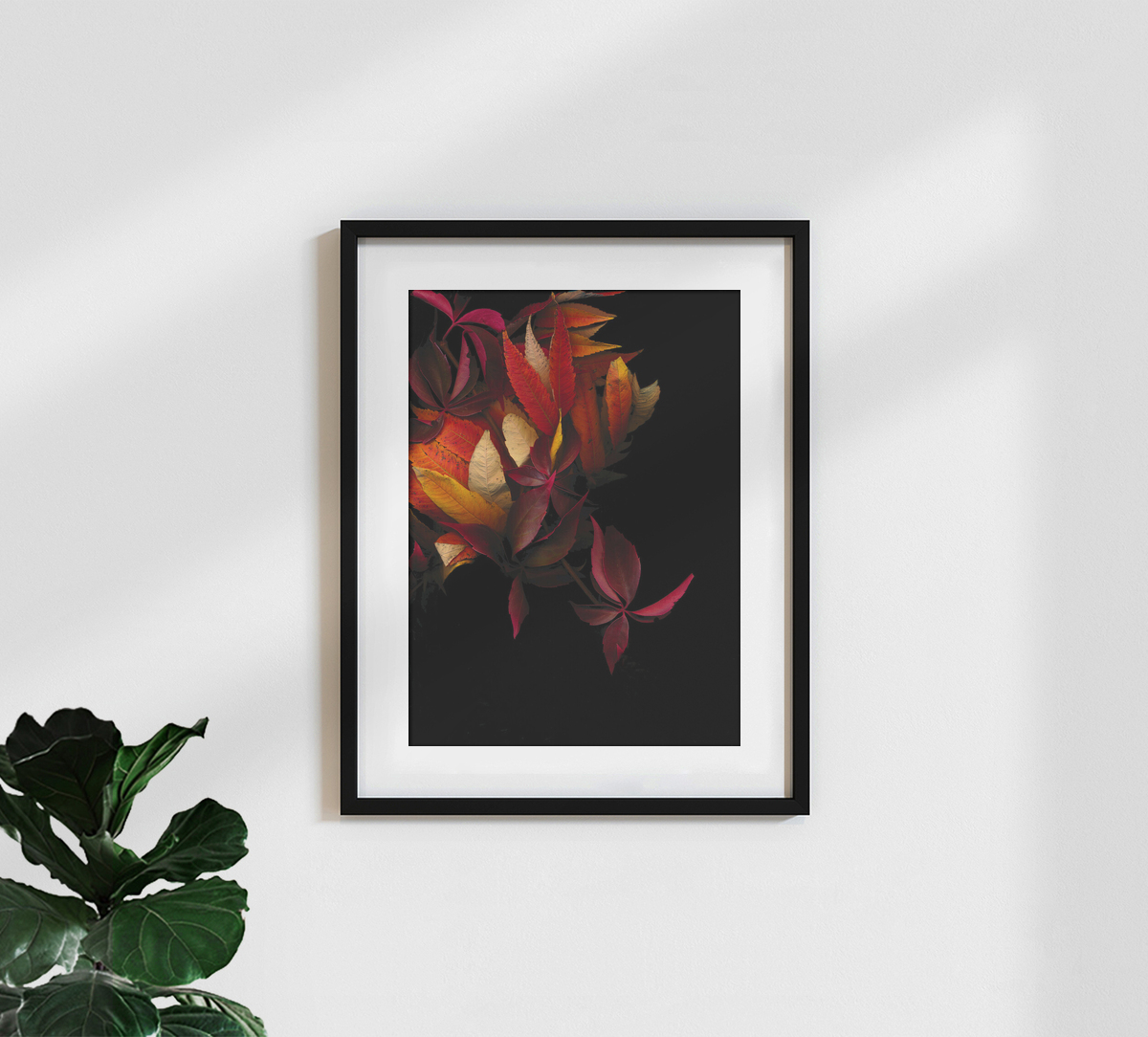 'Kim' – Discover the wall art by Ramona Reimann now!