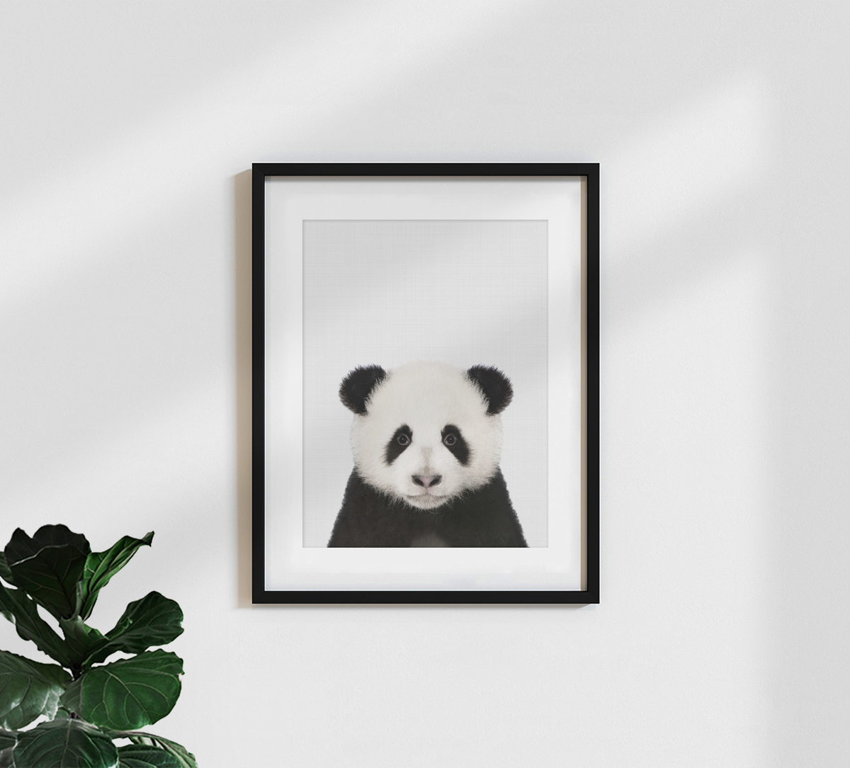 Vivid Atelier - 'Panda' | Photocircle.net