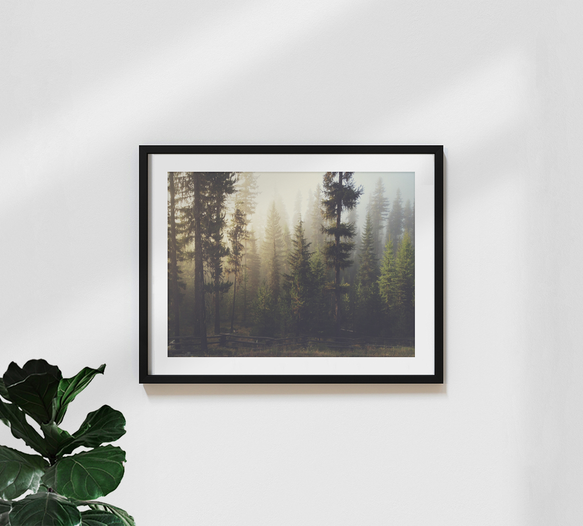 'Sunrise Forest' – Discover the wall art by Kevin Russ now!