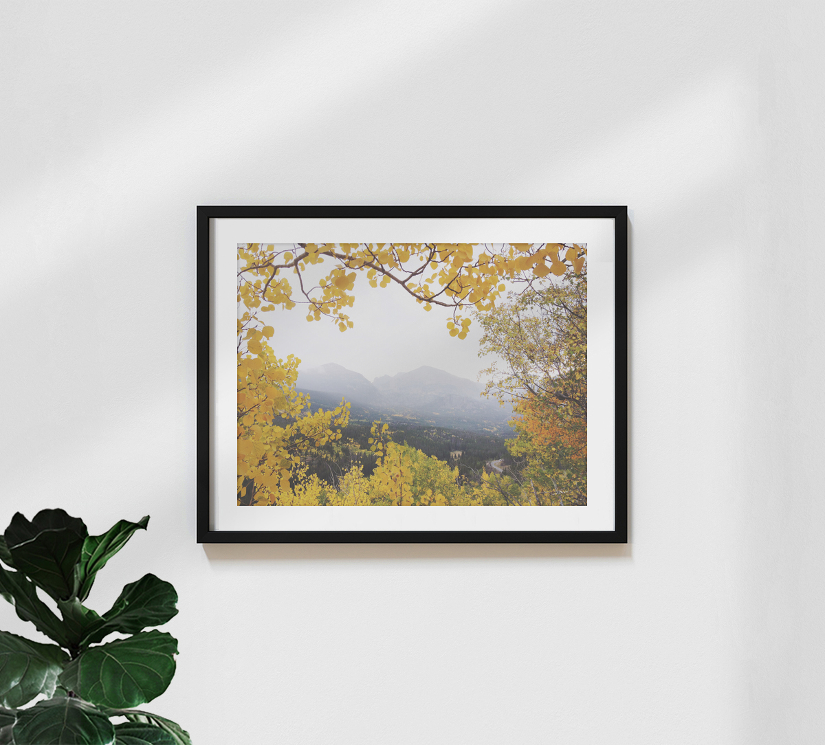 'Fall Frame' – Discover the wall art by Kevin Russ now!