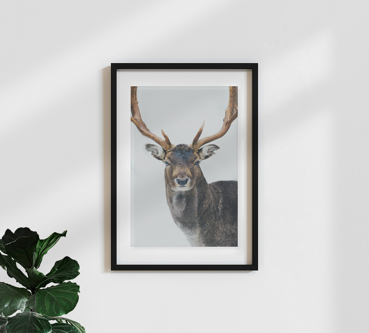 'Hirsch Portrait' – Fotokunst von Patrick Monatsberger jetzt entdecken!