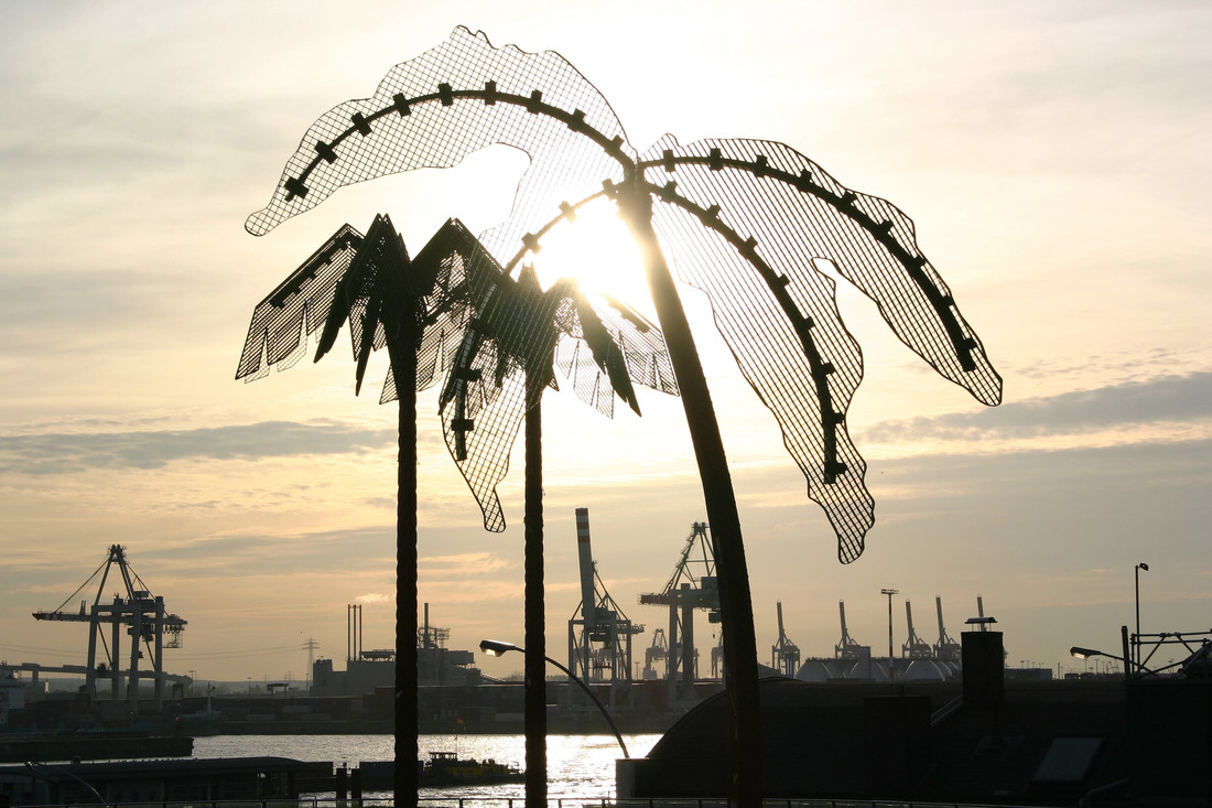Franz Walter - 'Hamburg Palm Trees (Germany)' | Photocircle.net